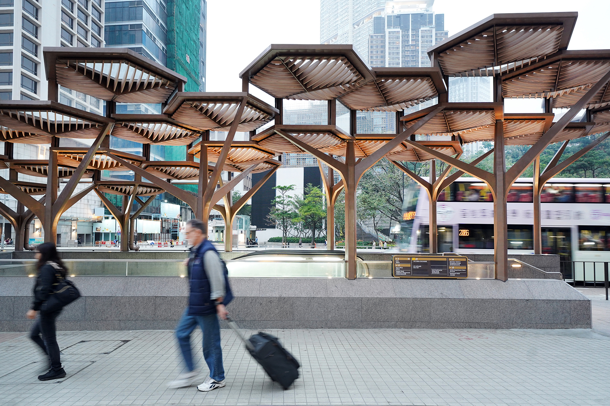 Salisbury Treescape | Architect Magazine