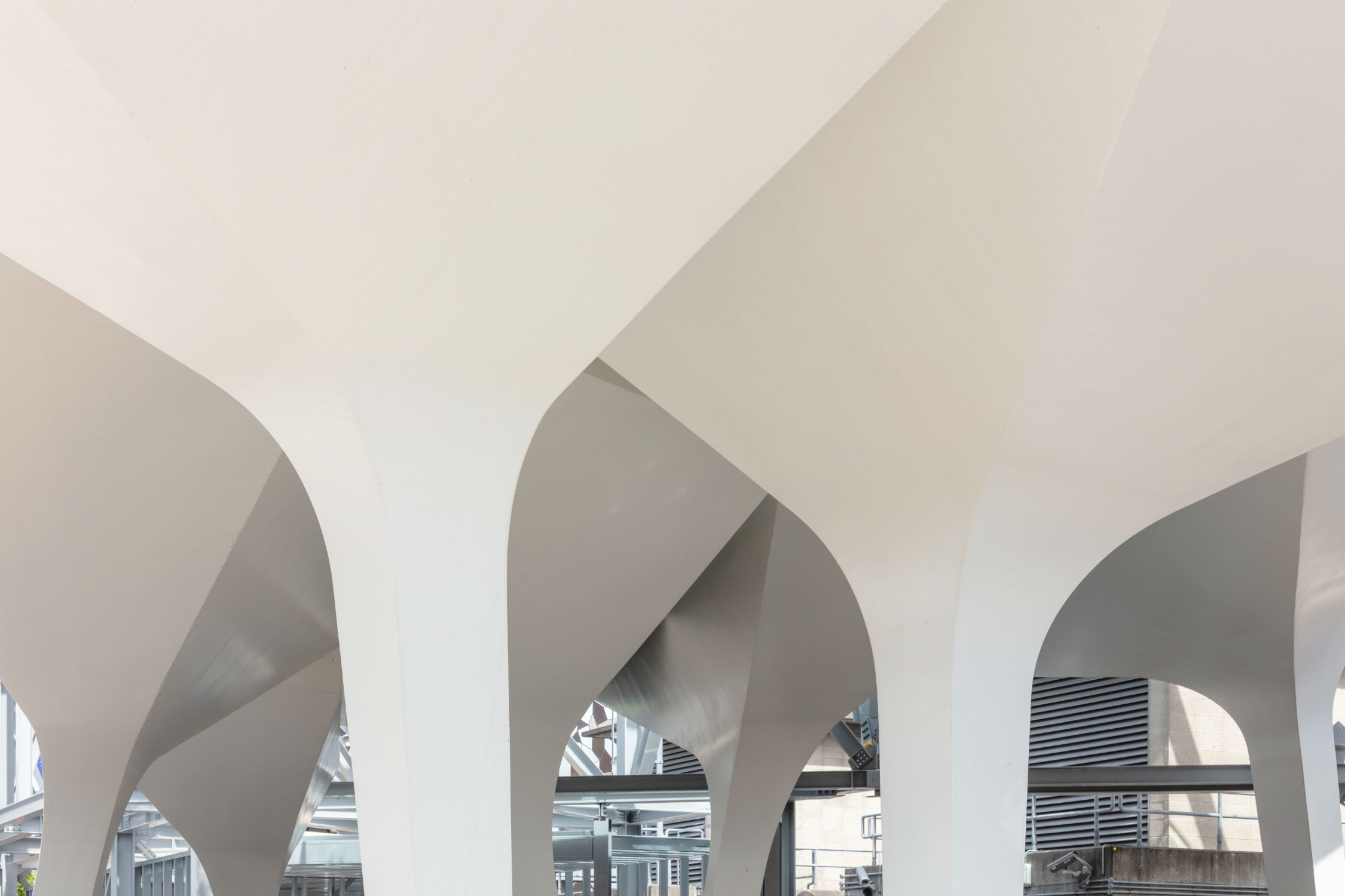 THE TIDE | Architect Magazine