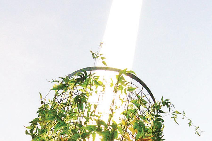 Greenscreen ColumnLight | Architect Magazine