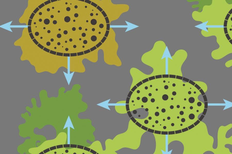 Bioreactor and Microbial Façades Take Green Energy to Another Level ...