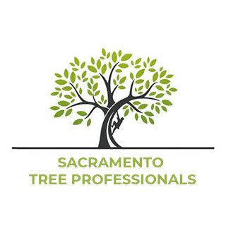 Sacramento Tree Professionals | Builder Magazine