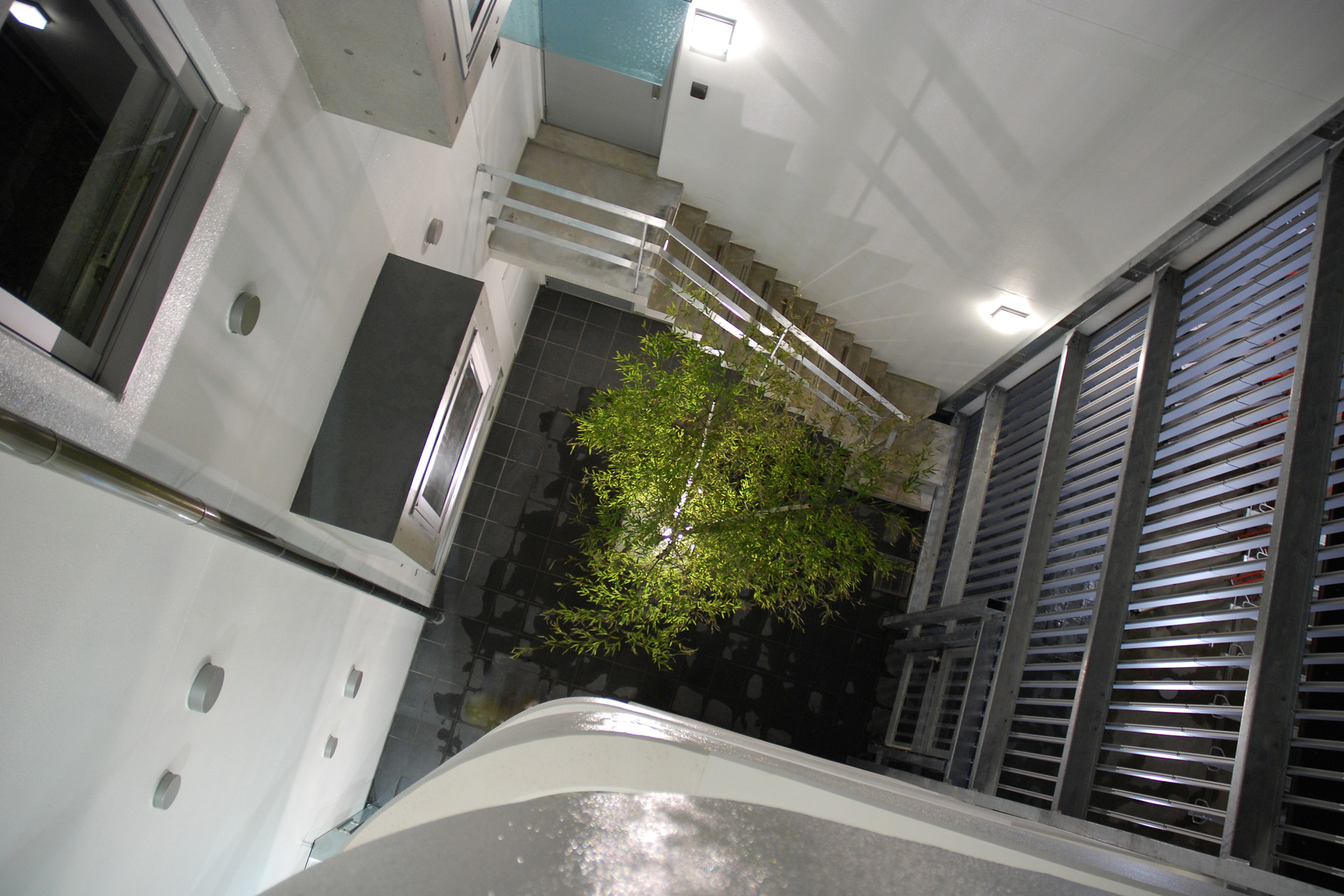 Void in a Forest | Builder Magazine