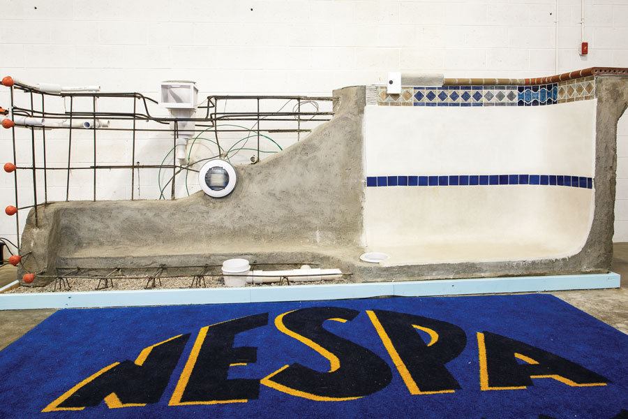 NESPA Unveils New Pool Training Tool| Pool & Spa News
