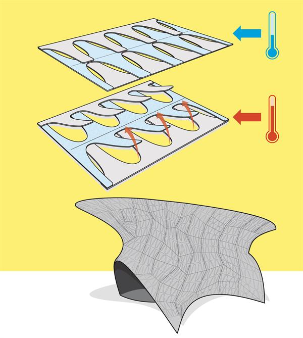 Bloom | Architect Magazine