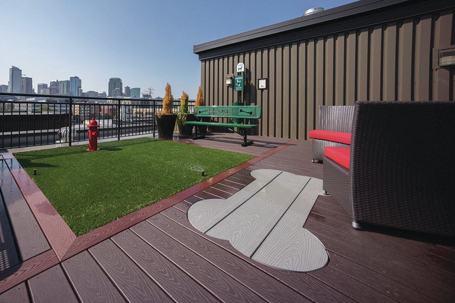 Doggone Deck | JLC Online