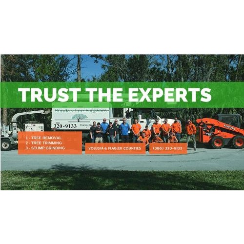 Florida's Tree Surgeons | Architect Magazine