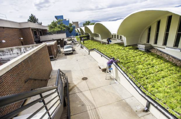 College Rooftop Goes Green | Architect Magazine