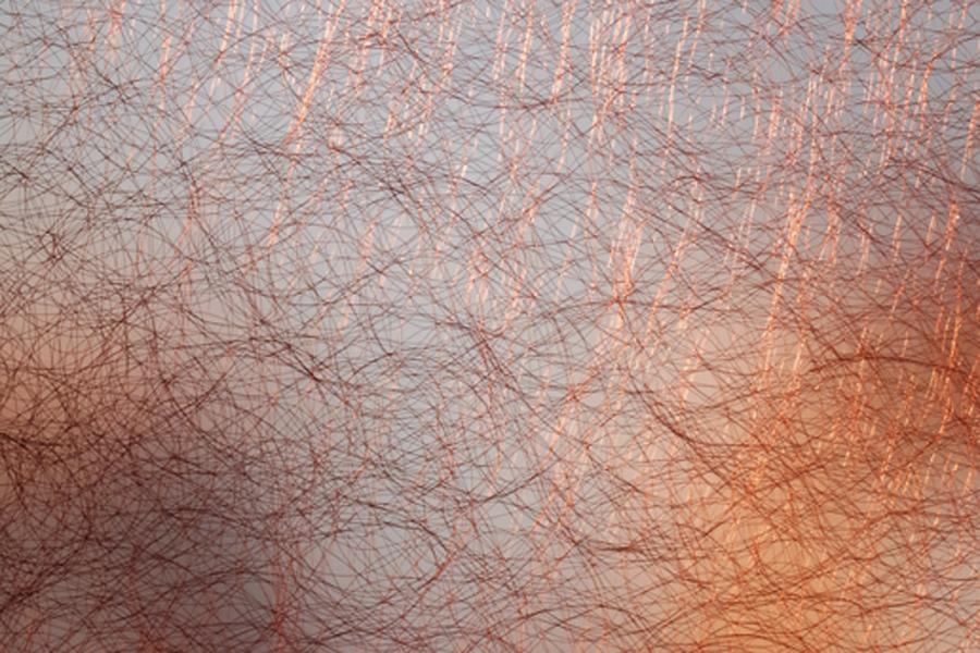 Armstrong Ceilings Infusions Partitions | Architect Magazine