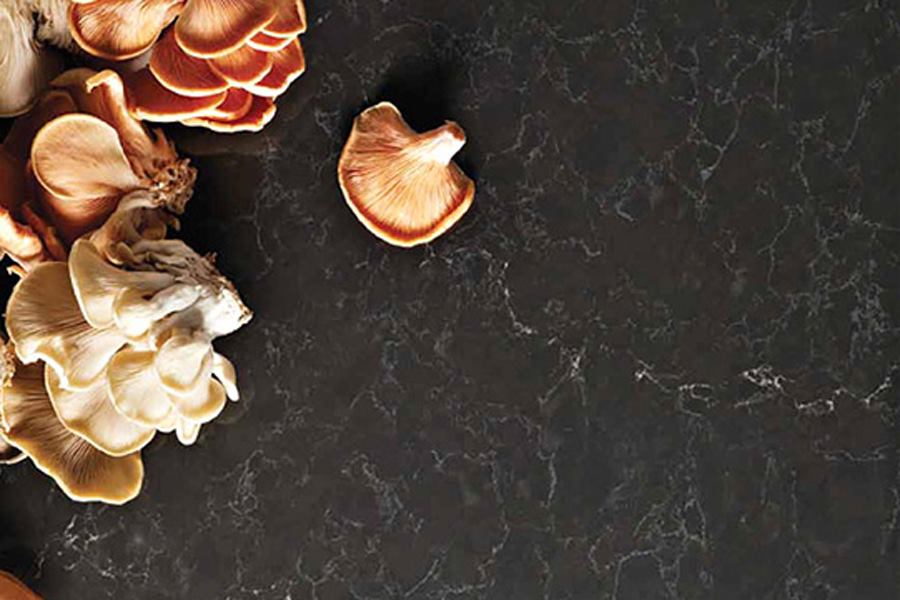 Caesarstone Updates Its Classico Collection | Builder Magazine