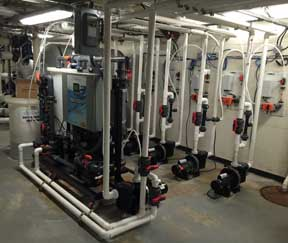 Safety First – Step Away from the Chlorine| Aquatics International Magazine