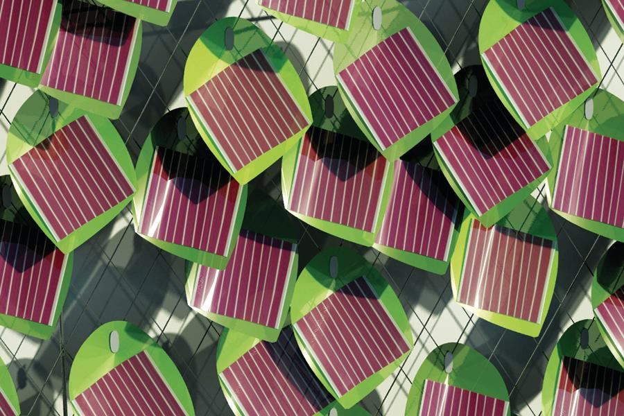 Product: SMIT Solar Ivy | Architect Magazine
