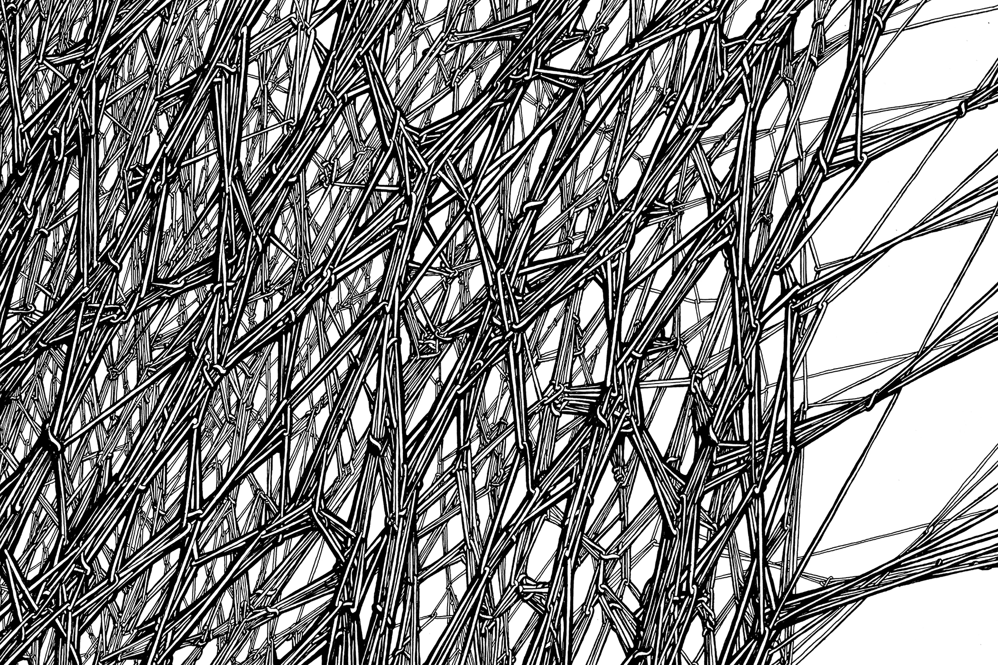 A Perspective on Perspective | Architect Magazine