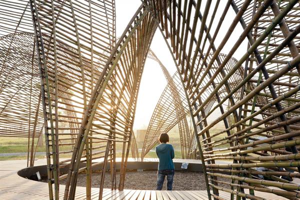 Forest Pavilion | Architect Magazine
