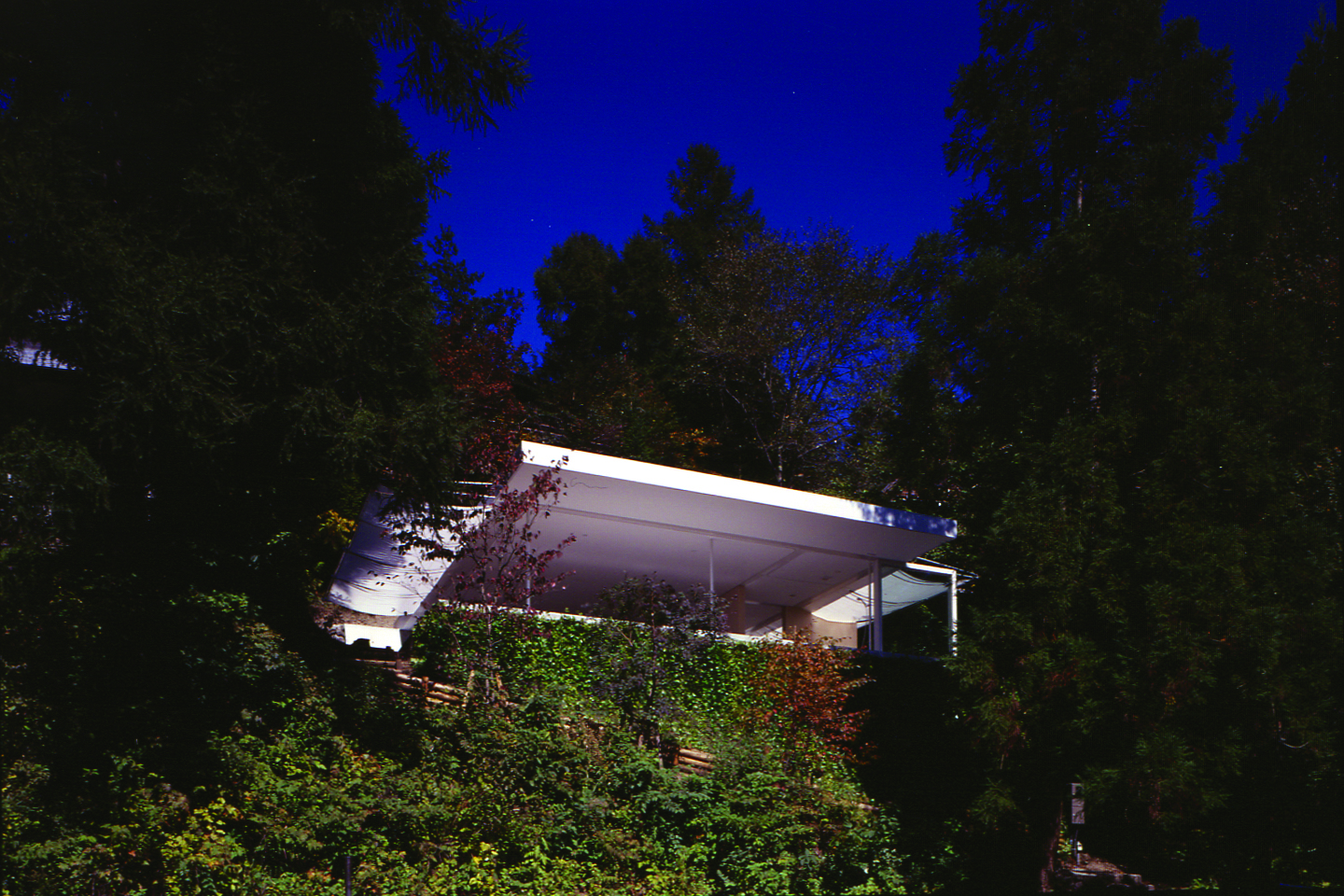 Wall-less House | Architect Magazine