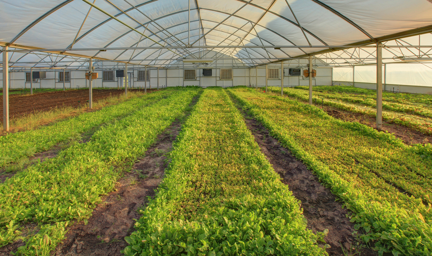 Six Farm-Centric Developments Put a Fresh Spin on Land Planning ...