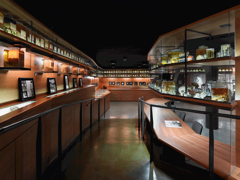 2011 AL Design Awards: The Cushing Center, Yale School of Medicine, New ...