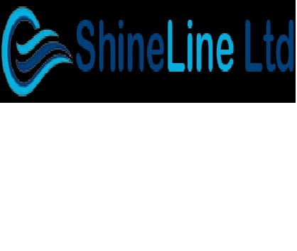 Shine Line Seo | Architect Magazine