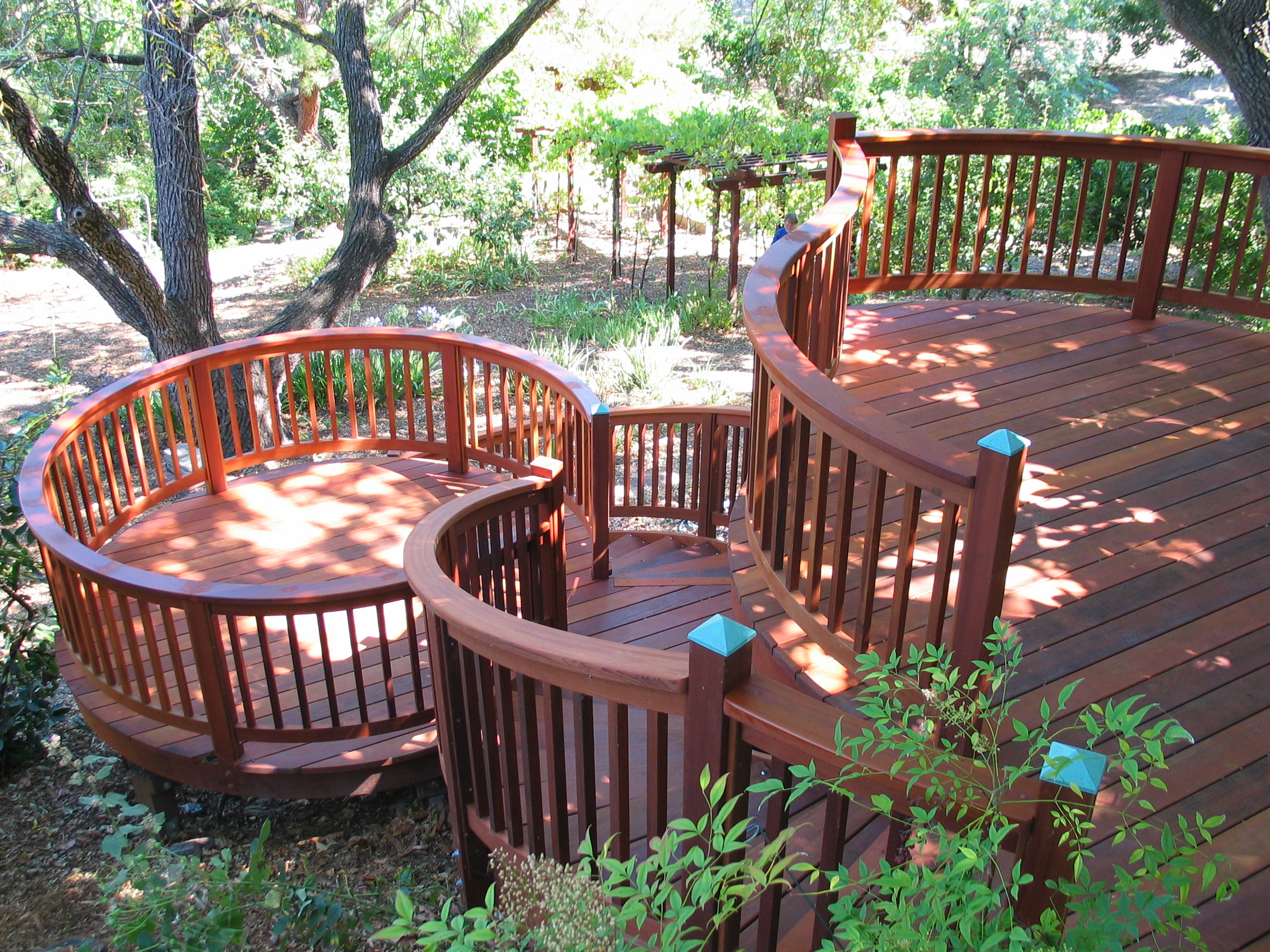Redwood Clear | Architect Magazine