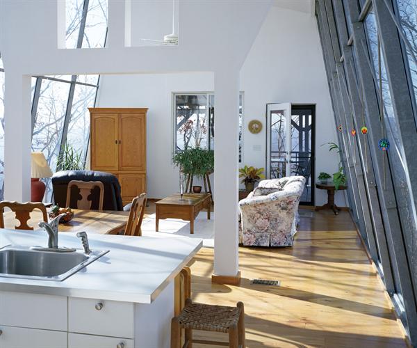 Nest House | Architect Magazine