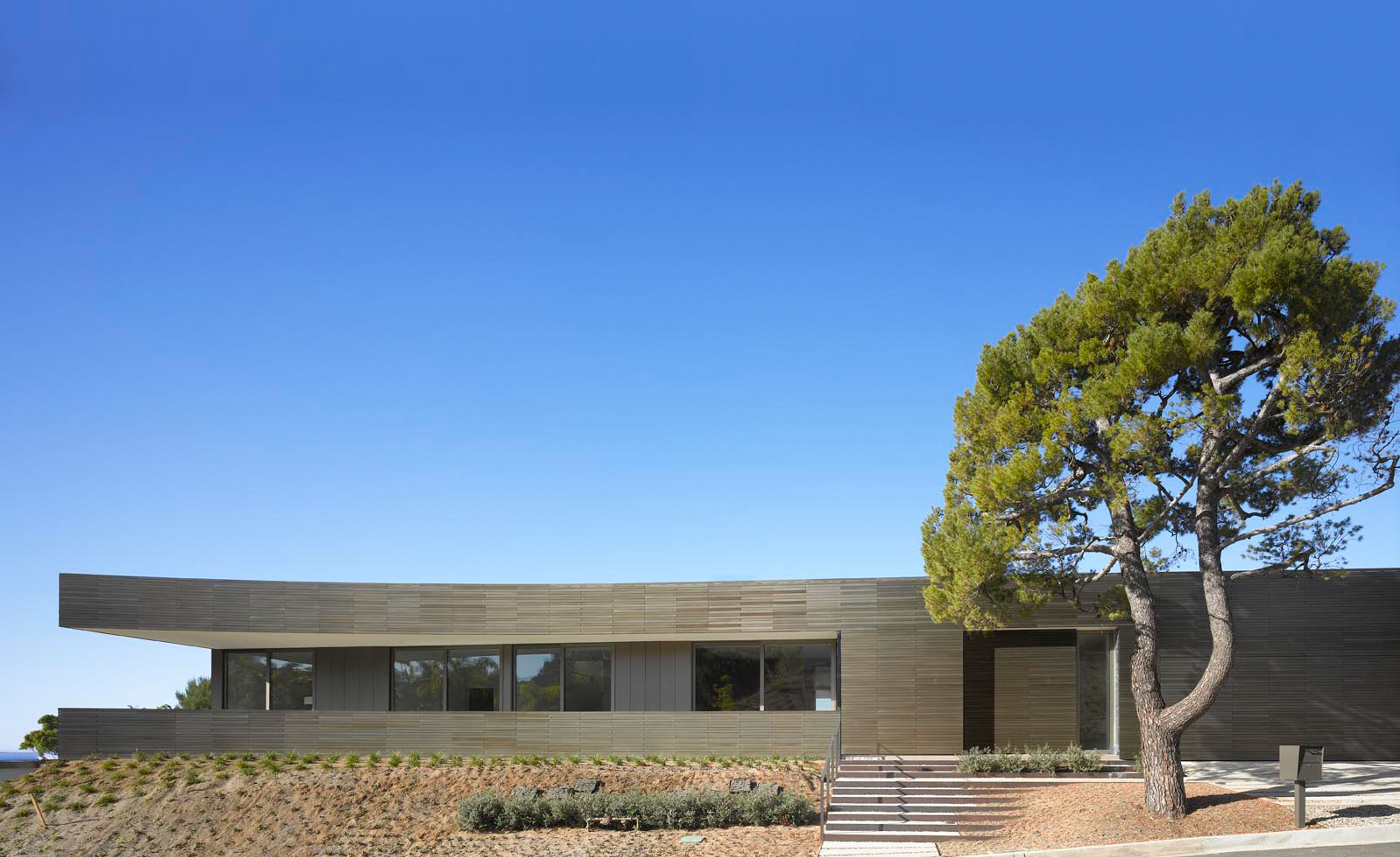 Double Stick | Architect Magazine