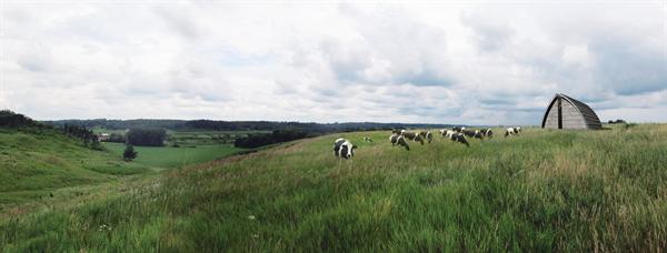 Prairie Chapel | Architect Magazine