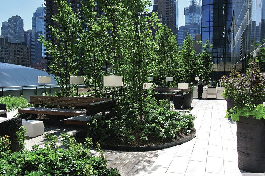 MiMA Roof Terrace Commons, New York | Builder Magazine