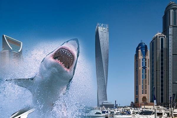 Sharkitect Week | Architect Magazine