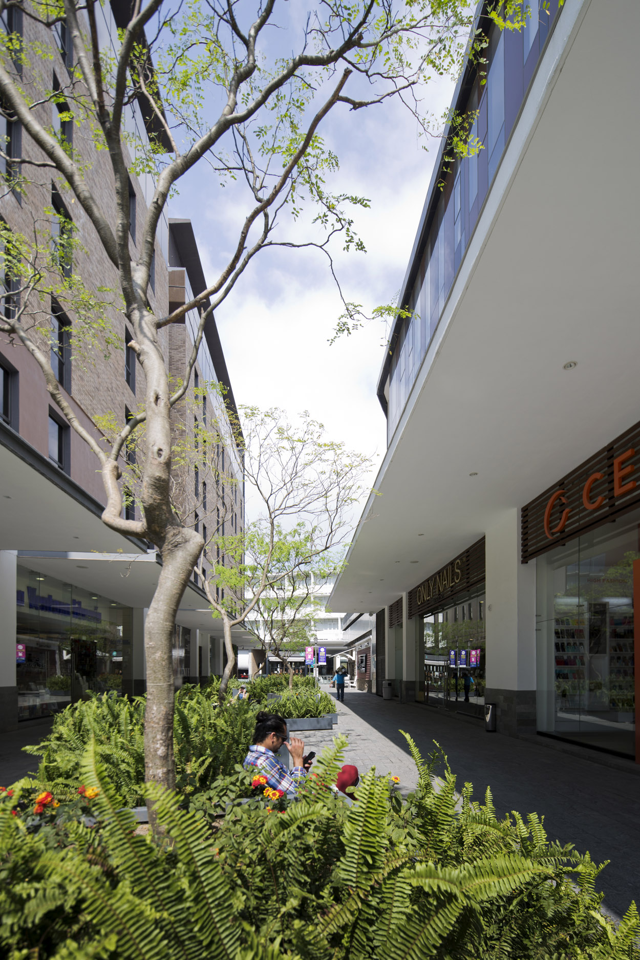 Nuevo Sur | Architect Magazine