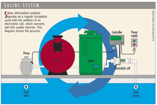 Salt Solutions?| Aquatics International Magazine