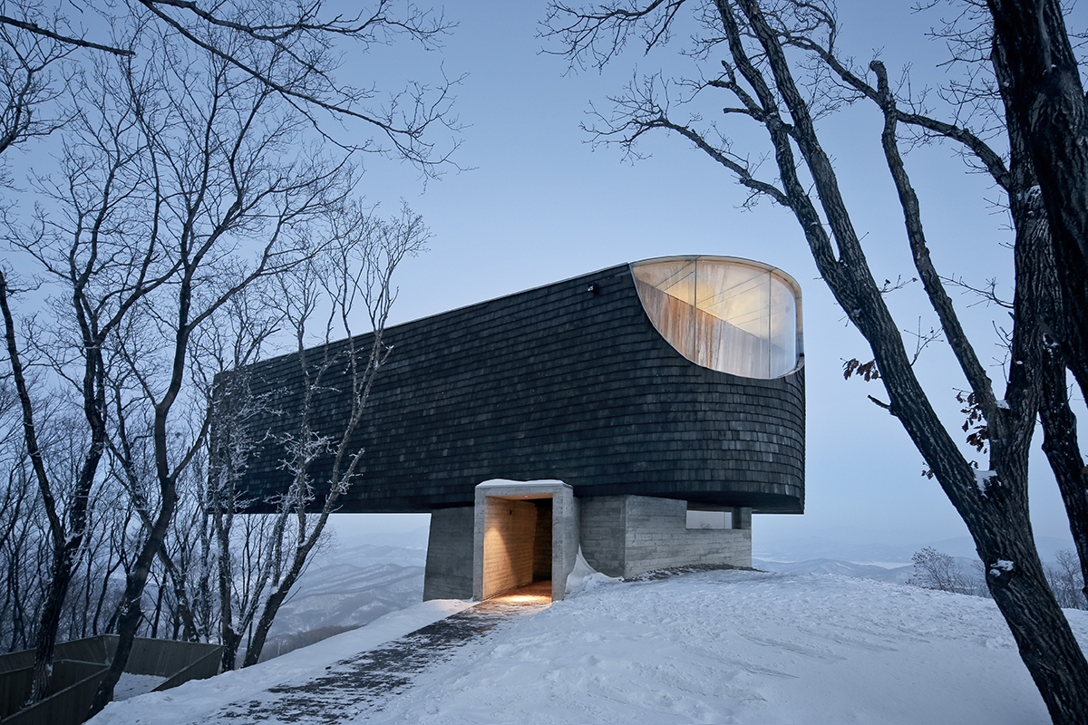 Stage of Forest | Architect Magazine