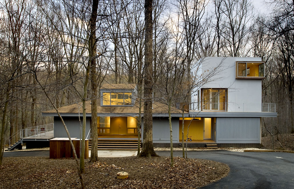 Forest House | Architect Magazine