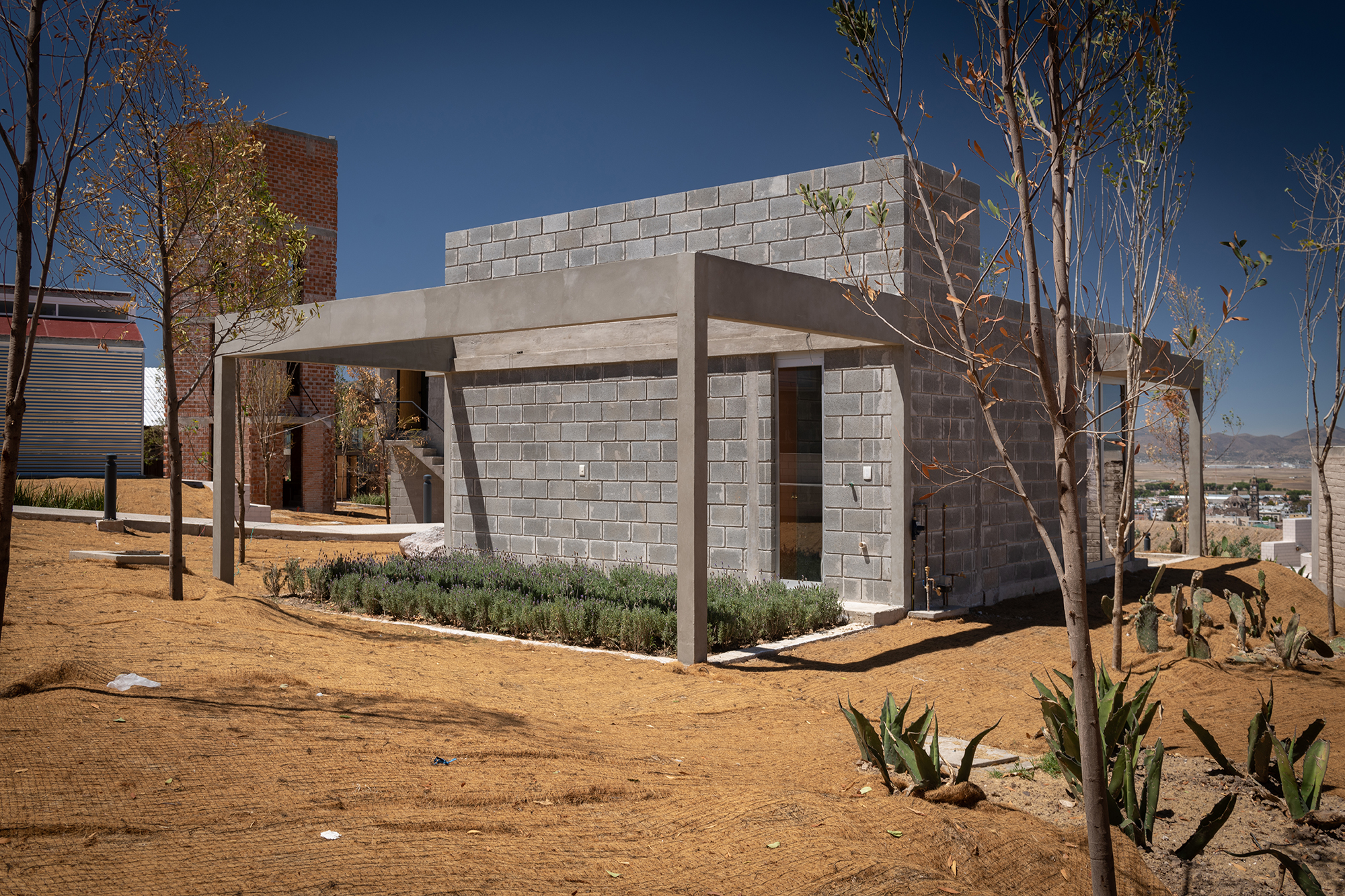 House 15, Apan Housing Laboratory, by BGP Arquitectura | Architect Magazine