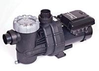 Professional Series Variable-Speed Pump from Raypak Inc.| Aquatics ...