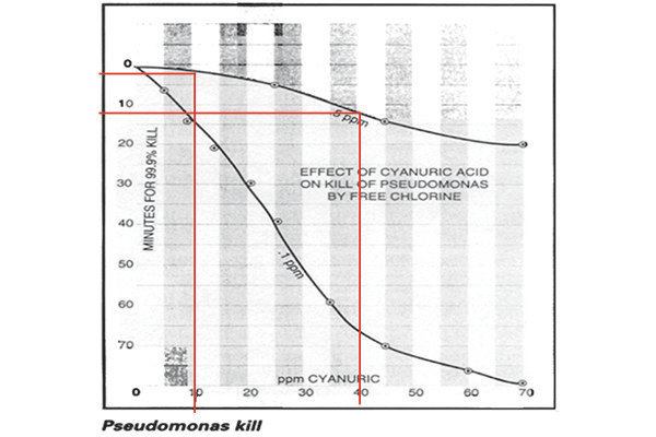 CYA Revisited| Aquatics International Magazine