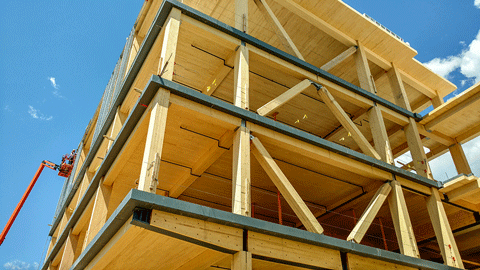 The Bending Force of Wood in Resilient Design | Builder Magazine