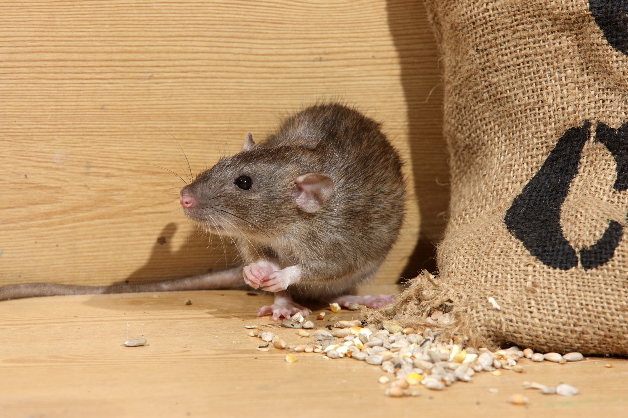 Give Pests the Cold Shoulder This Winter | Multifamily Executive Magazine