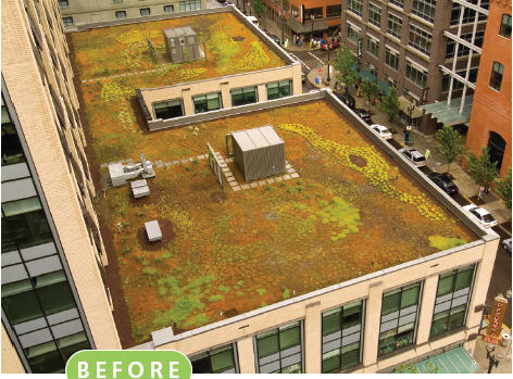 M Financial Building | Architect Magazine