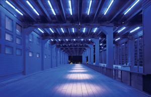 Lighting Primer | Architect Magazine