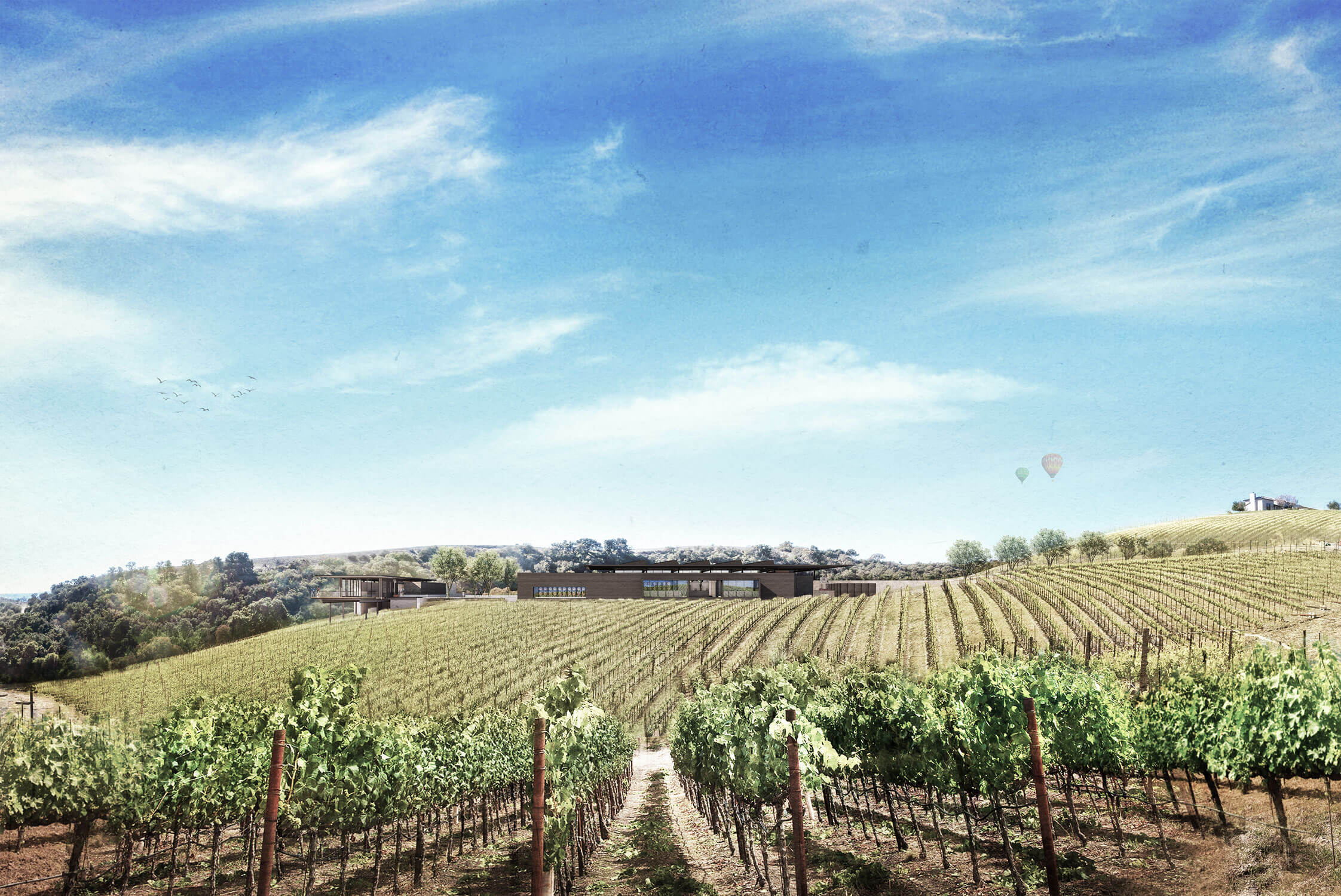 Copia Vineyards | Architect Magazine