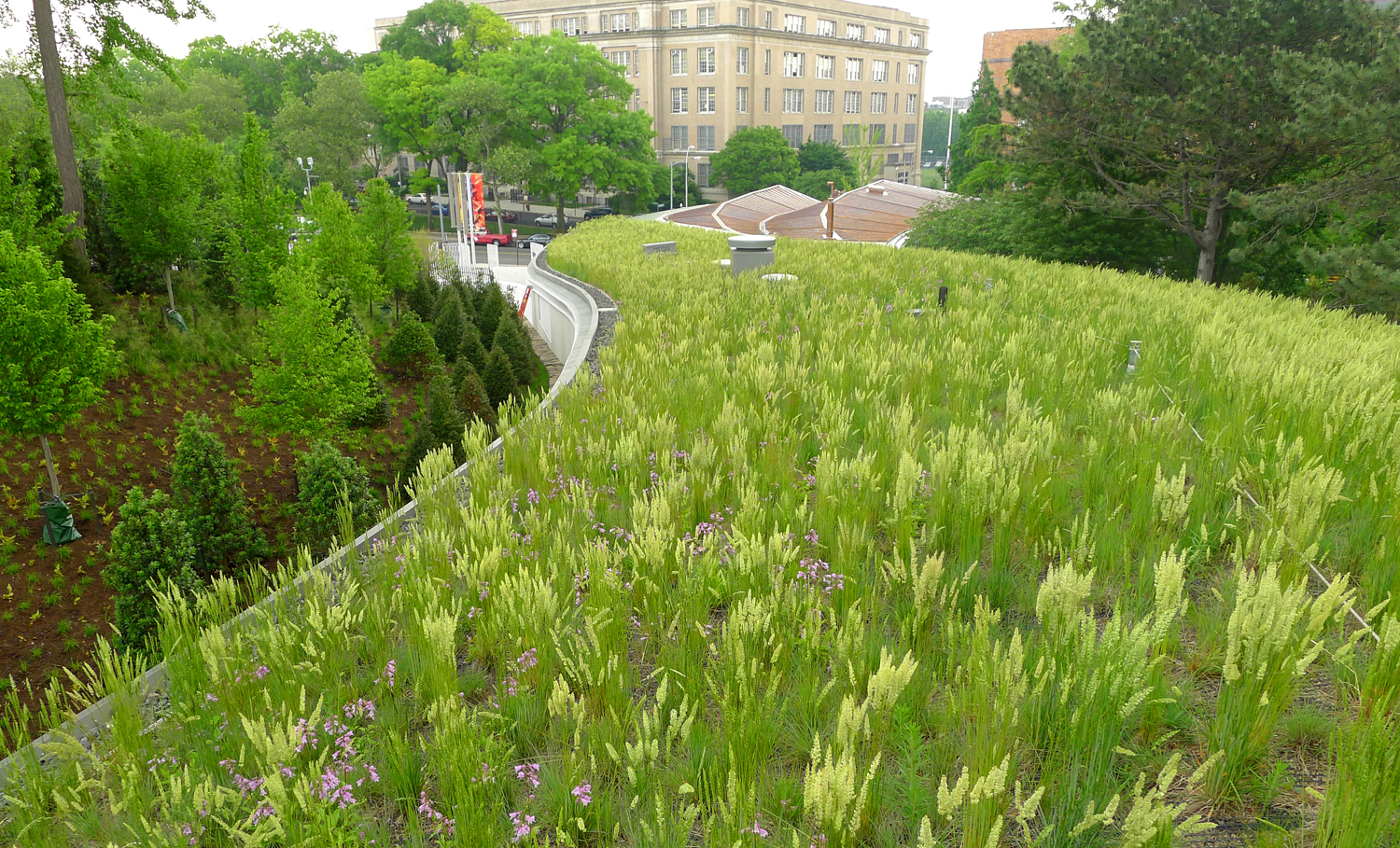 Brooklyn Botanic Garden | Architect Magazine