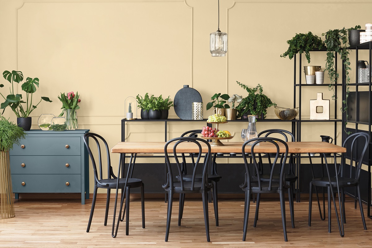 Glidden Paint by PPG’s 2024 Color of the Year Is 'Limitless' | Builder ...