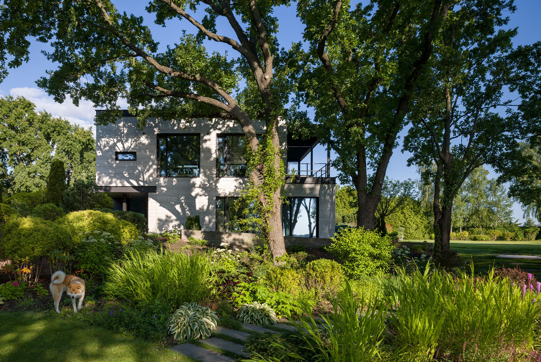 Between the Lines | Architect Magazine