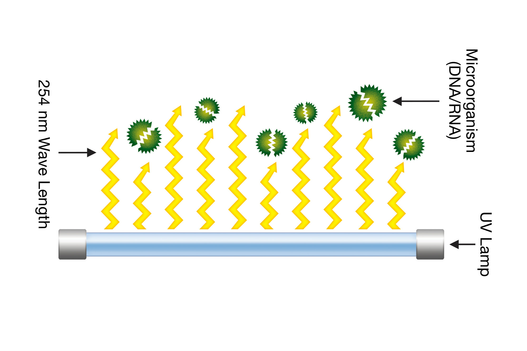 Study Predicts Growth in Ultraviolet Disinfection Market| Aquatics ...