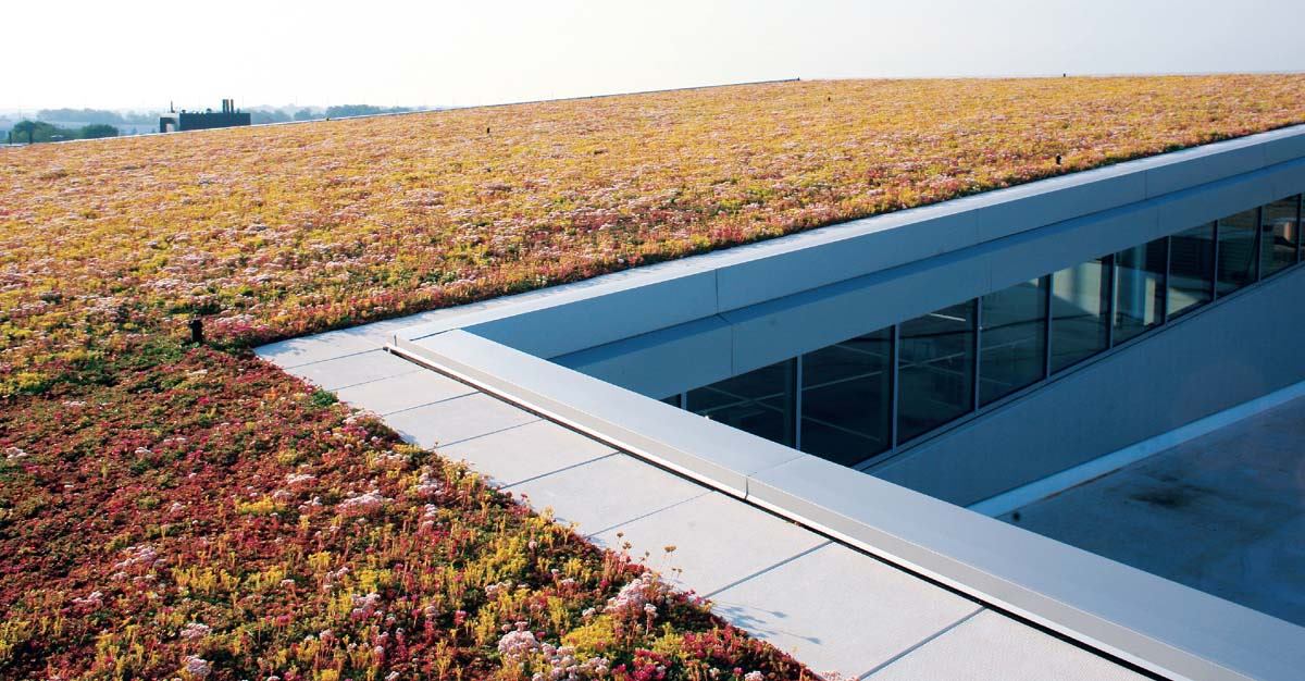 LiveRoof invisible green roof system | Architect Magazine