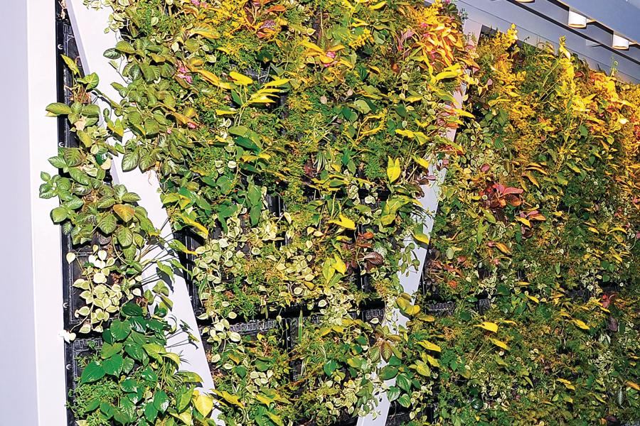 Elmich Vertical Greening Module | Architect Magazine