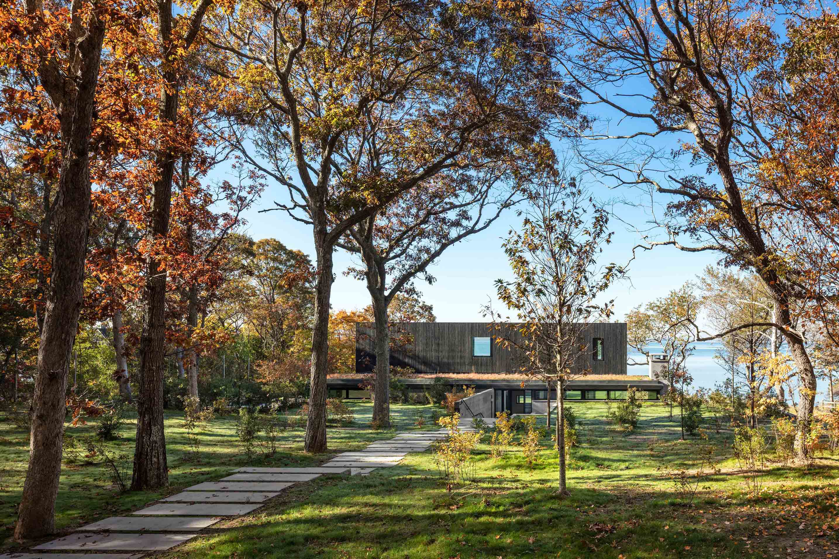 Shore House | Architect Magazine