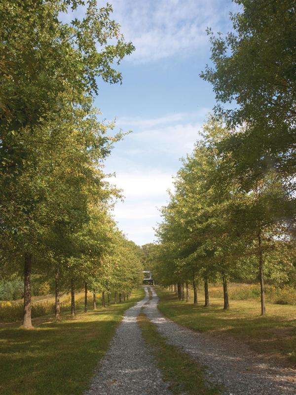 Allee House | Architect Magazine