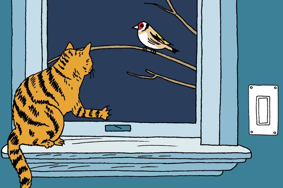 Natural Lighting | Architect Magazine