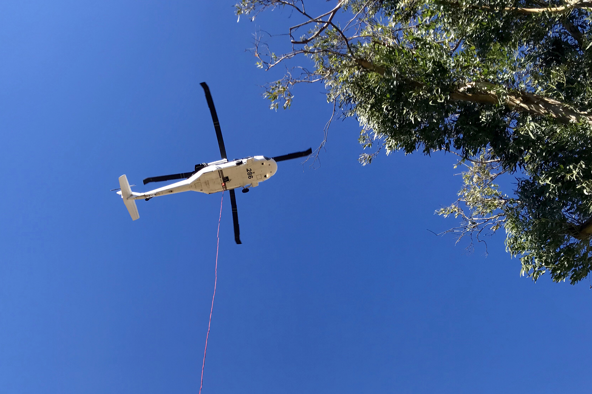 Wildfire Resilience Design Strategies for Architects and Homeowners ...