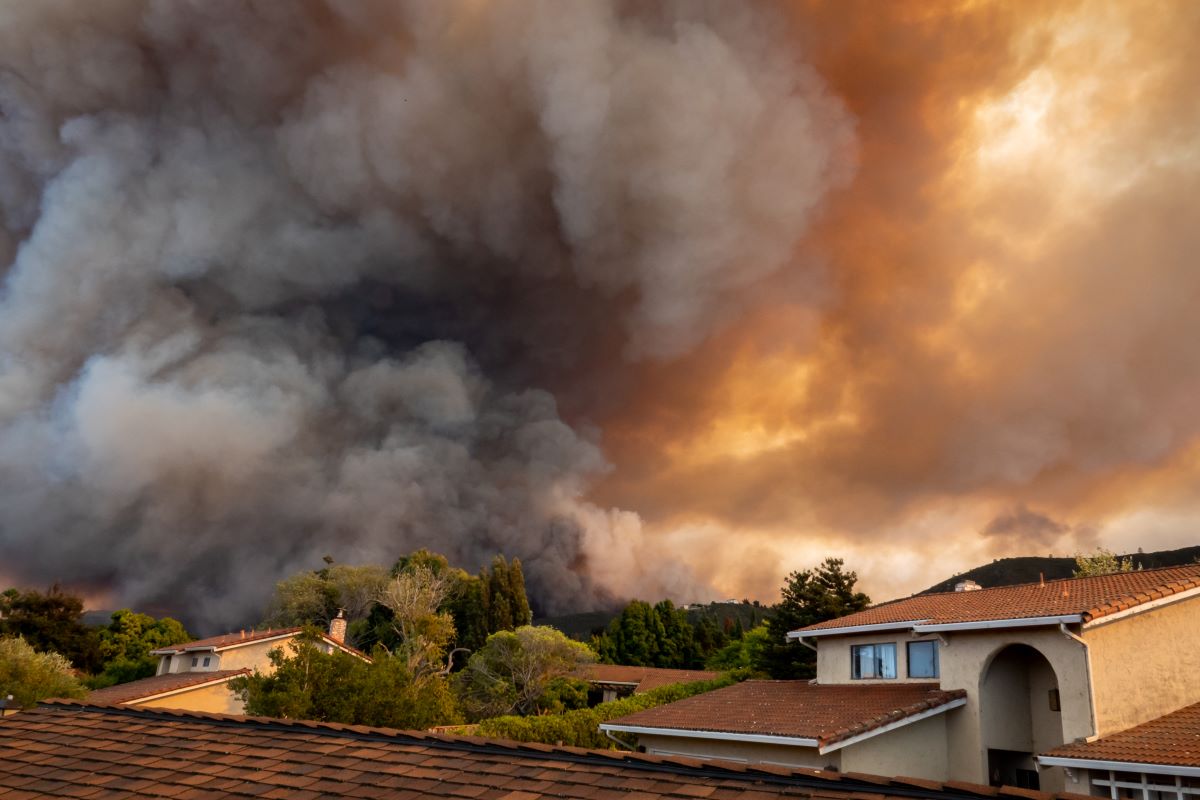 Wildfire Expert Steve Hawks Shares Tips for a Wildfire-Prepared Home ...